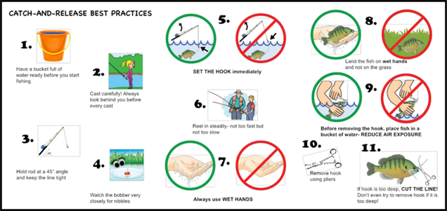 Fishing Resources - Big Cedar Lake Stewardship Association